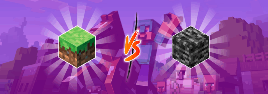 Minecraft Java VS Minecraft Bedrock