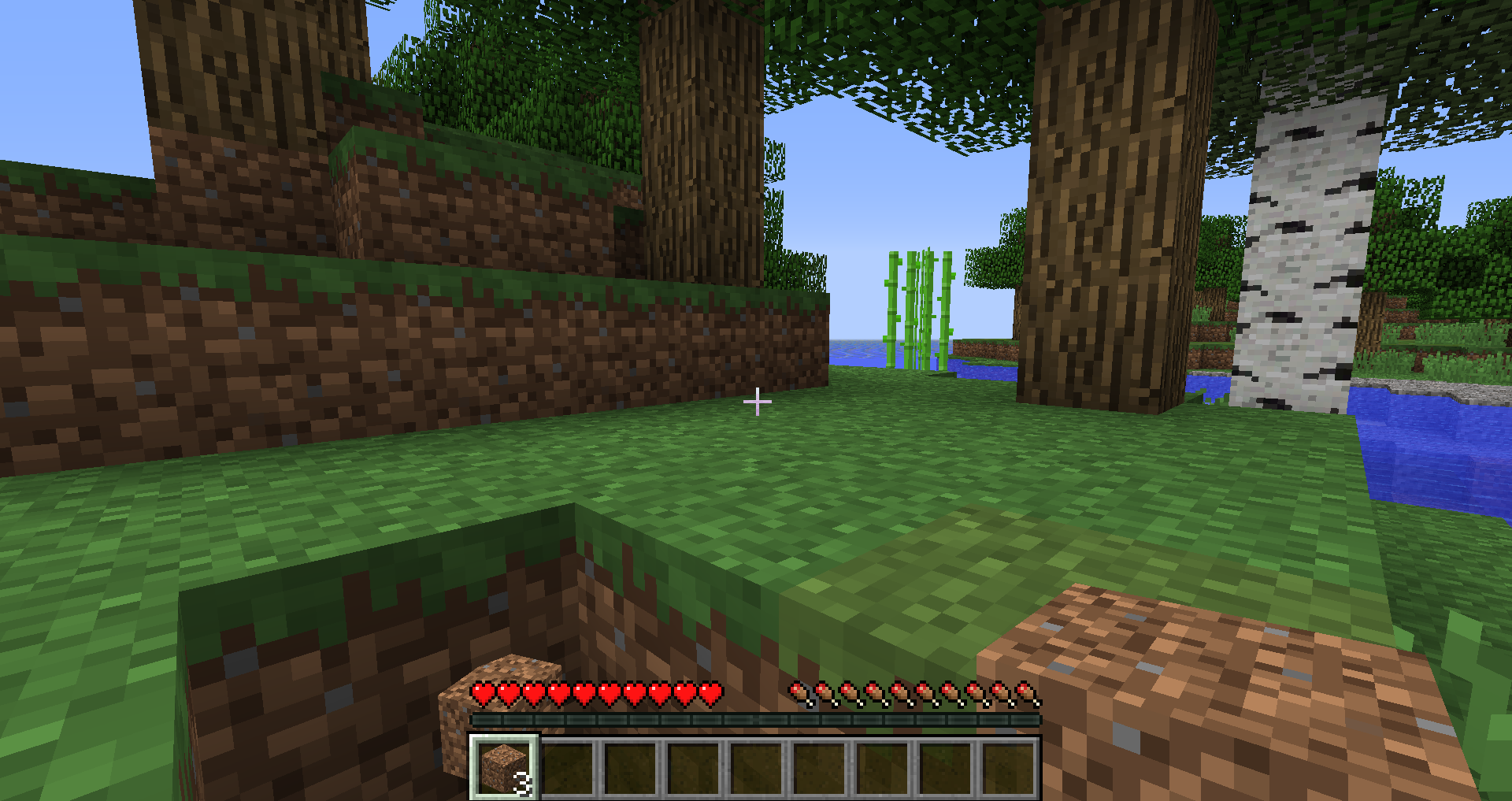 Minecraft Client-Side and Server-Side Explained