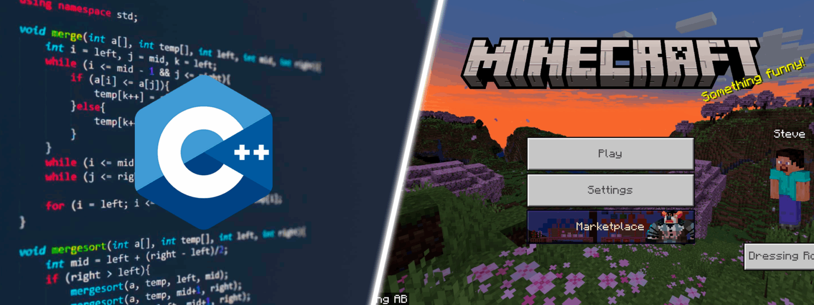 Minecraft Java VS Minecraft Bedrock