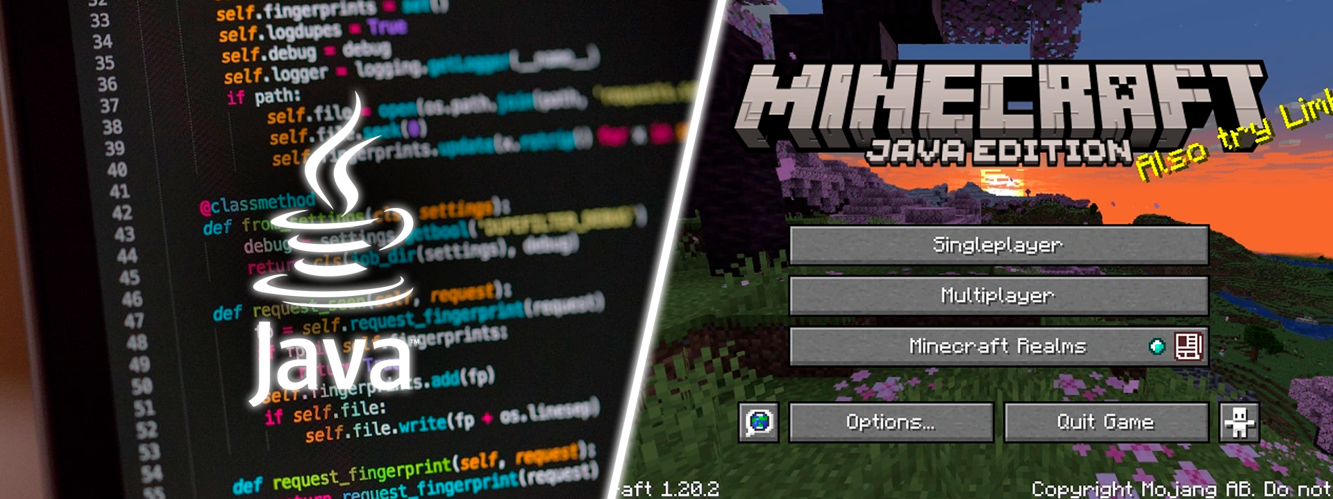 Minecraft Java VS Minecraft Bedrock