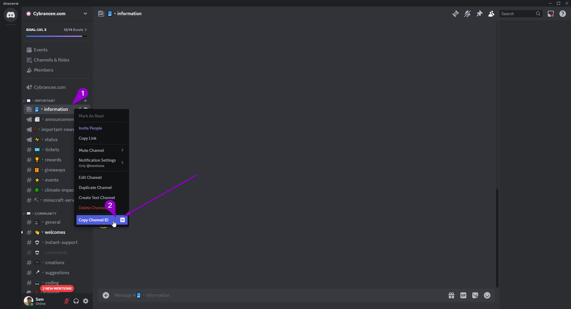 How to Find a Discord Channel ID - Cybrancee Knowledgebase