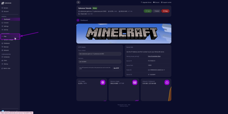 How to Download Your Minecraft World - Cybrancee Knowledgebase