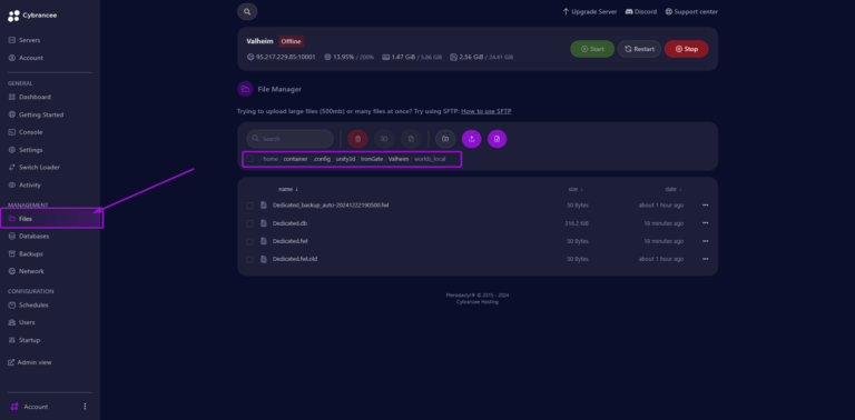 How to Upload Your Own World to Valheim - Cybrancee Knowledgebase
