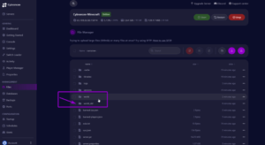 How to Upload and Use a Custom Map on a Minecraft Server