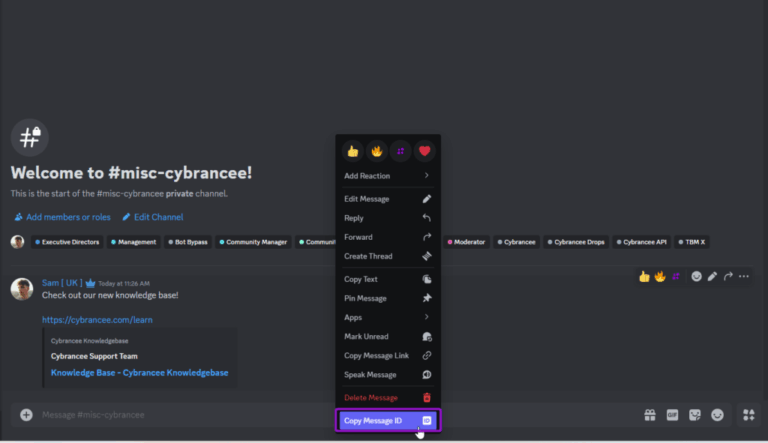 How to Find a Discord Message ID