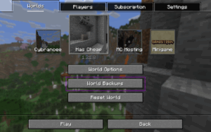 Download and Use Realms World in Minecraft Now