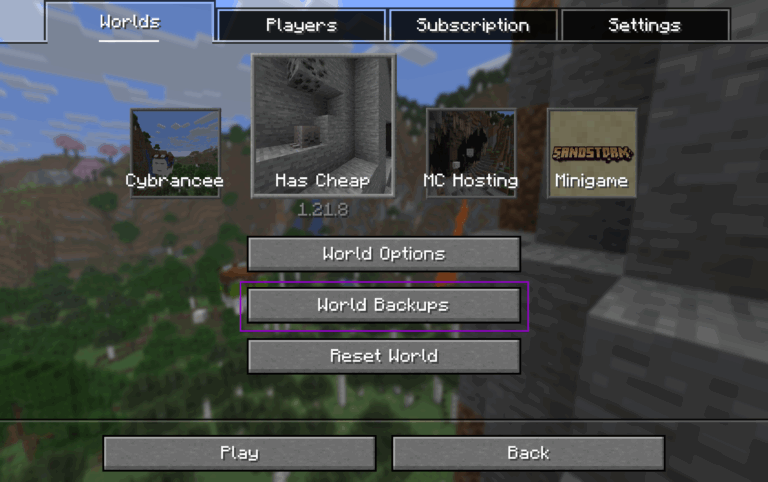 Download and Use Realms World in Minecraft Now