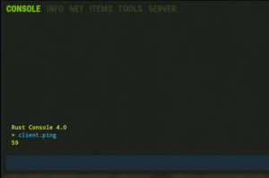 How to See Your Ping in Rust