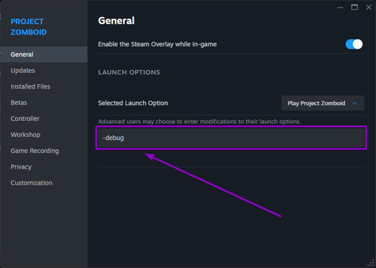 How to Enable Debug Mode on Your Project Zomboid Server