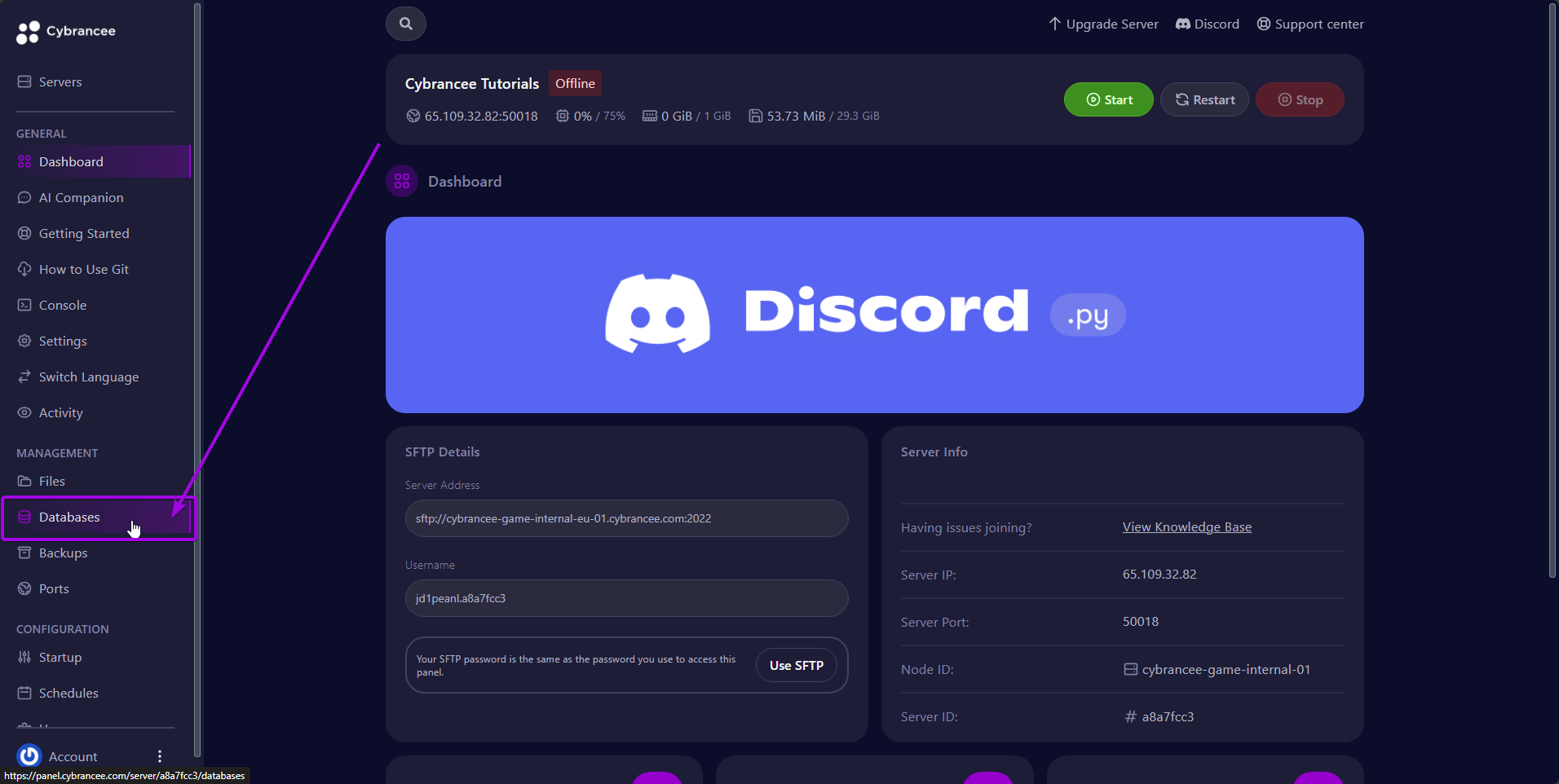 How to Create a Database for Your Discord Bot
