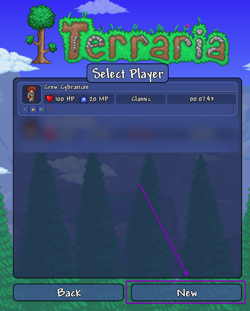 How To Create a New Terraria Character (on PC)