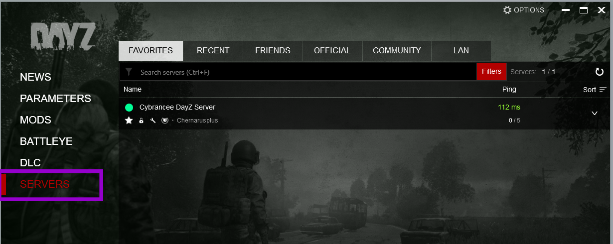 How to Connect to Your DayZ Server