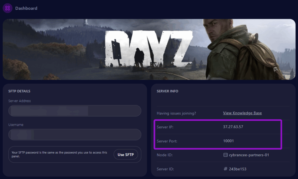 How to Connect to Your DayZ Server
