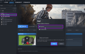 How to Connect to Your DayZ Server