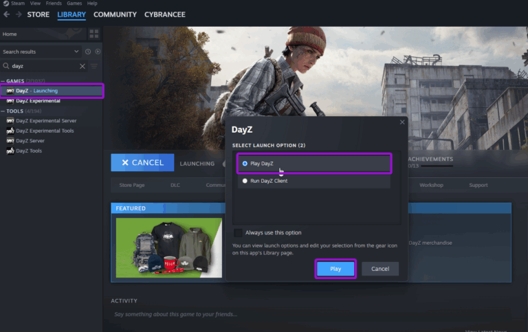 How to Connect to Your DayZ Server