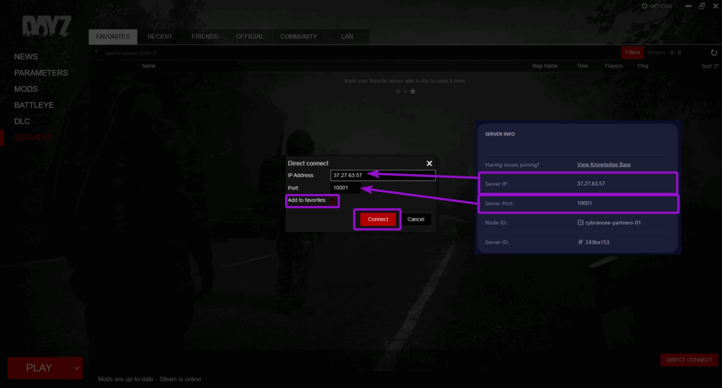 How to Connect to Your DayZ Server