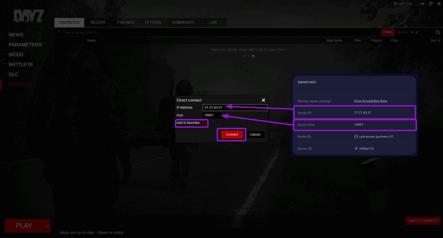 How to Connect to Your DayZ Server