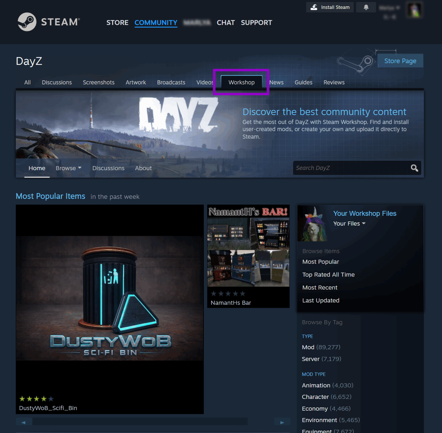 How To Install Mods on Your DayZ Server