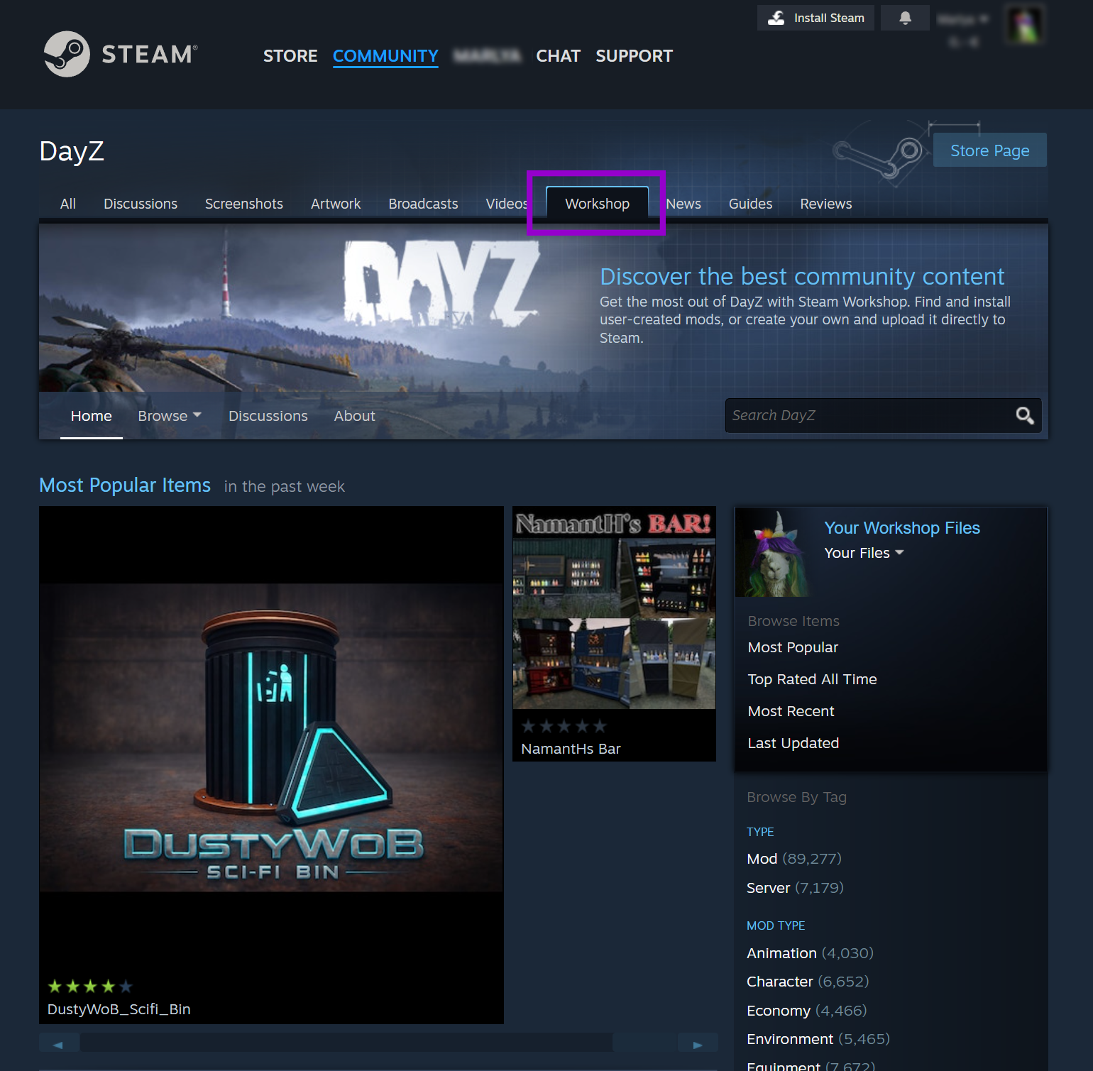 How To Install Mods on Your DayZ Server